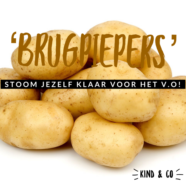 Brugpiepers :: Kindenco